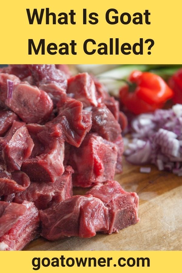 What Is Goat Meat Called Find Out Goat Owner