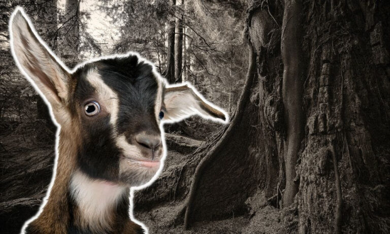 9 Examples Of Mythical Goat Names (Revealed!) - Goat Owner
